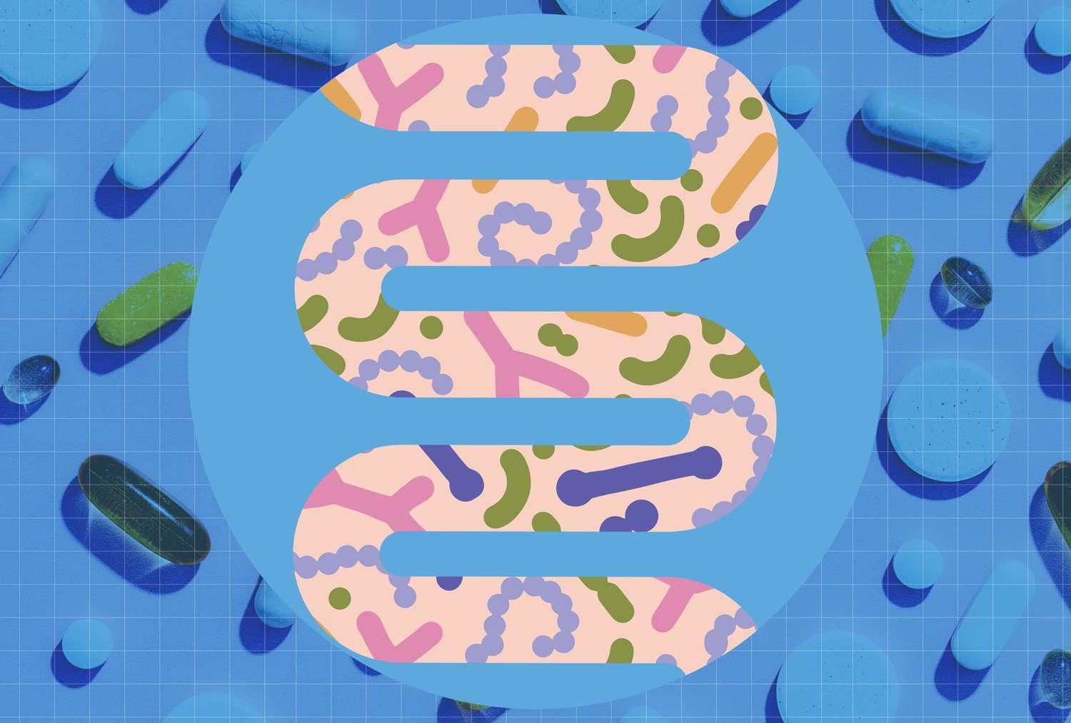 The Gut Fix: Truth, Myths, and Must-Know Solutions - LifeXposed.com